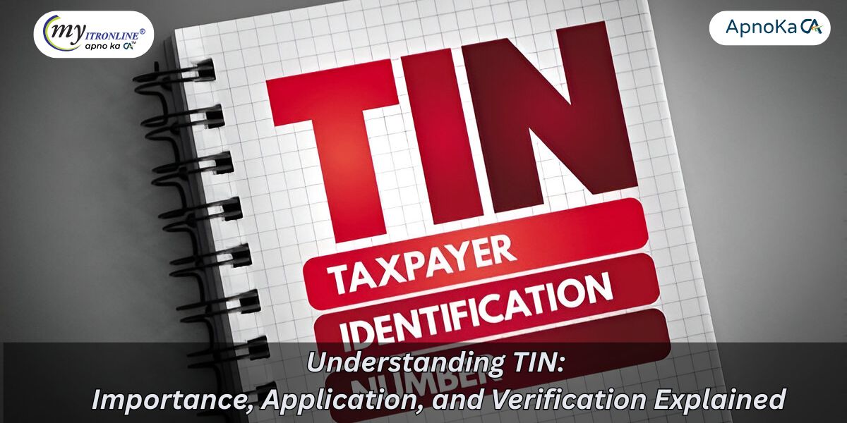 Understanding TIN: Importance, Usage & Verification of Tax ...