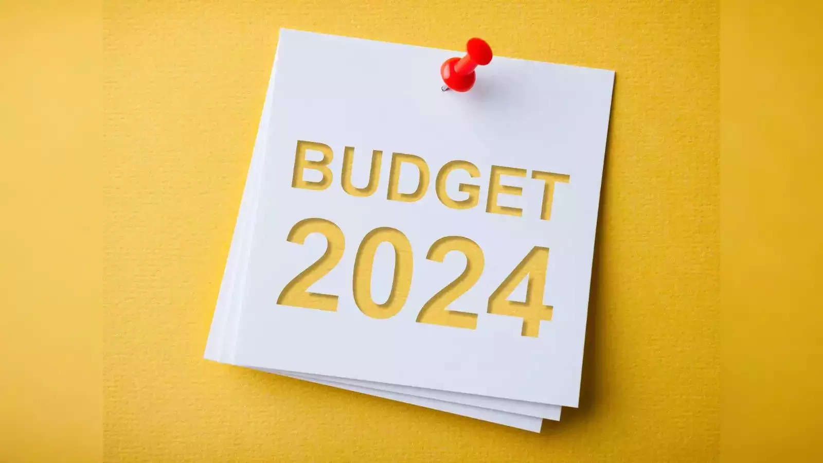 Budget 2024: From Homes to Free Electricity, Government's Key ...
